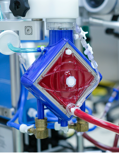 ECMO - Cardiopulmonary Support - Cardiac Surgery - DataMed
